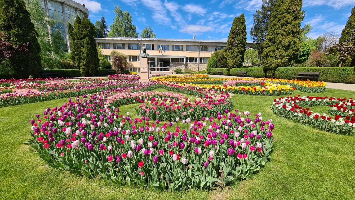 University of Medicine and Pharmacy Iasi — Study medicine in Europe