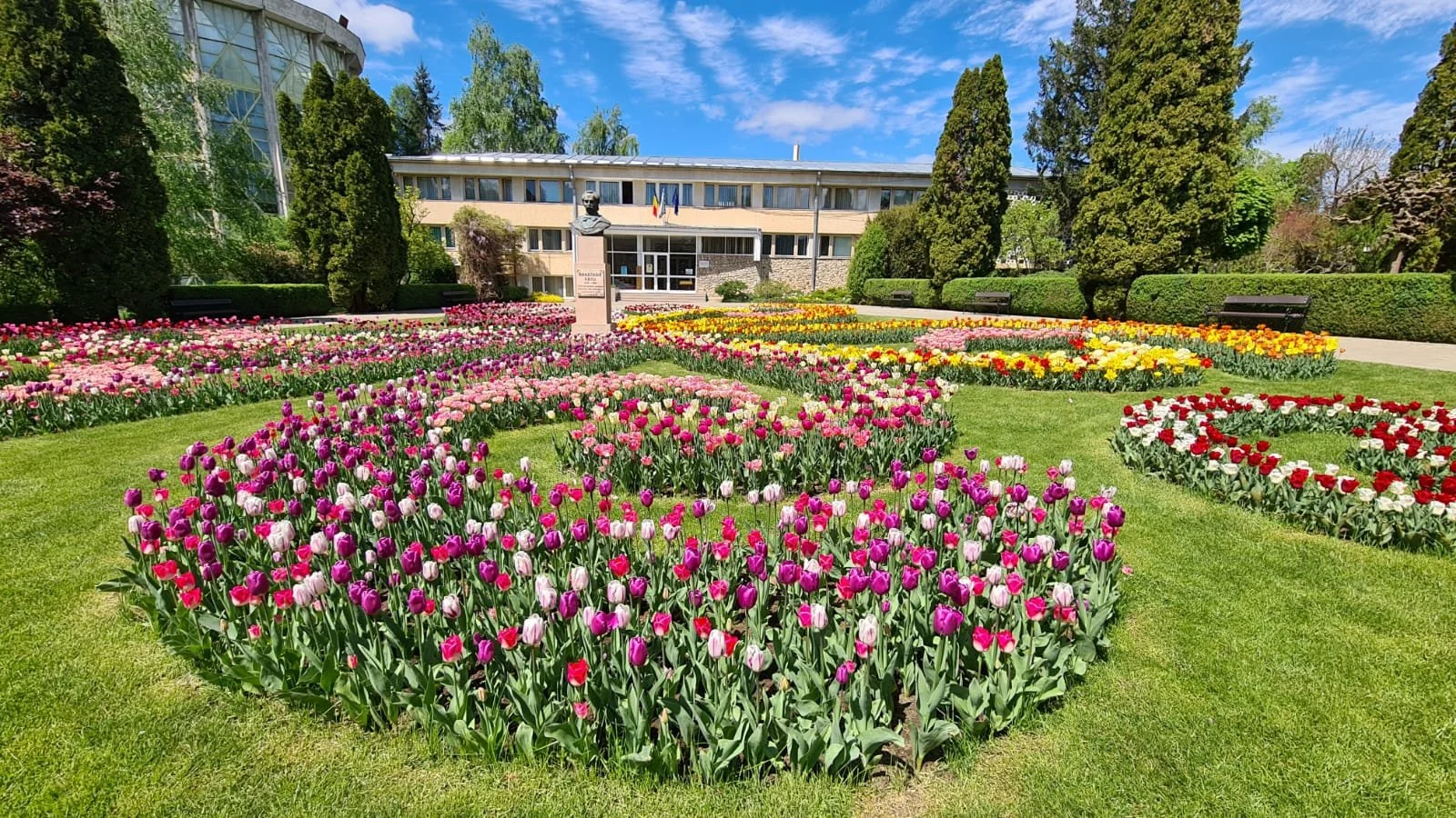 University of Medicine and Pharmacy Iasi — Study medicine in Europe