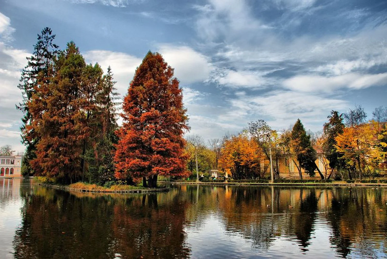 Study medicine in Romania — Study medicine in Europe