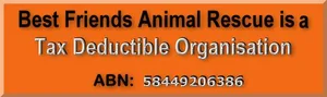 Best Friends Animal Rescue