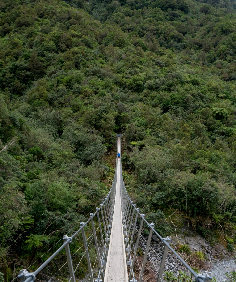 Tips on Roberts Point Track — Explore More Nature