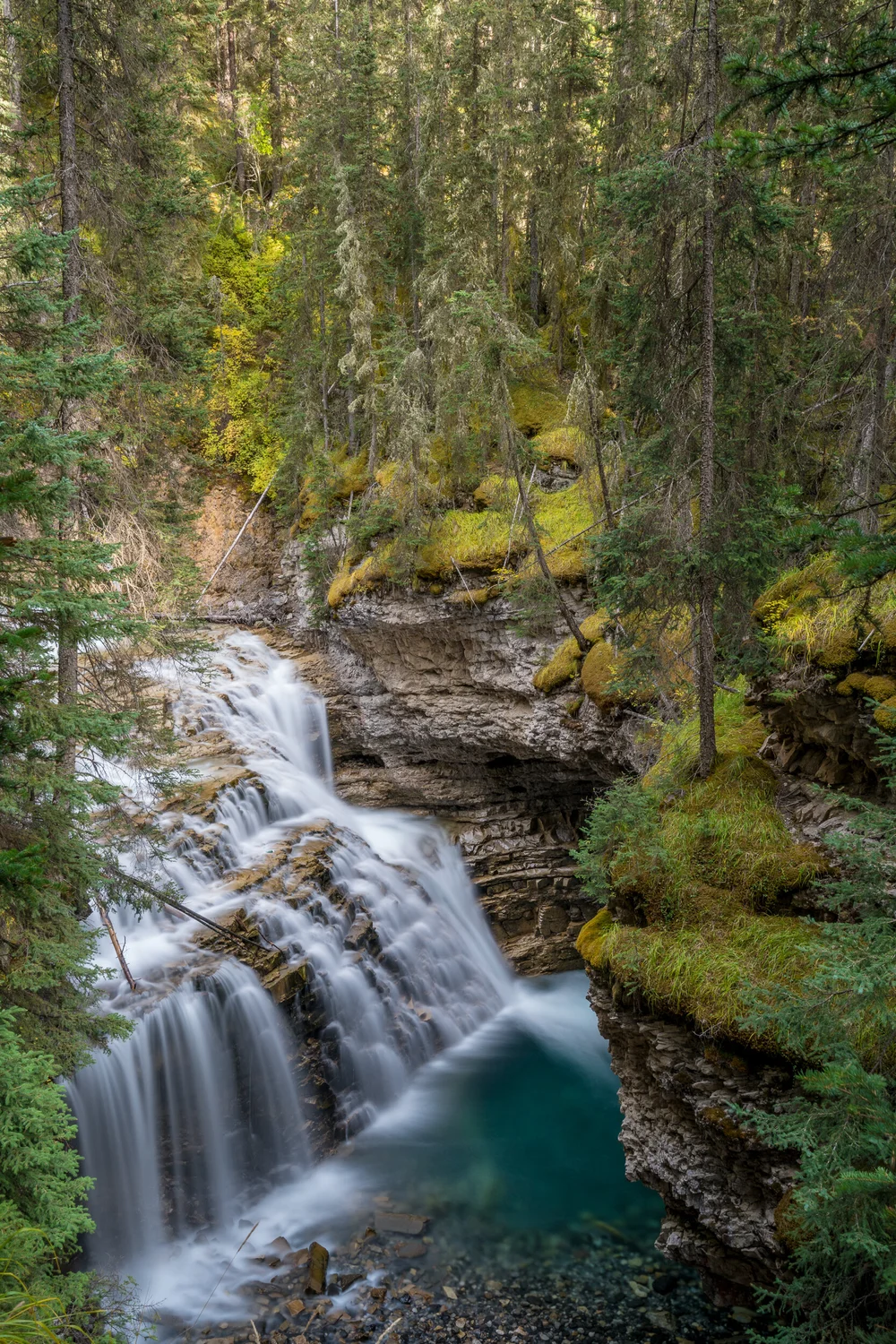 Most Beautiful Day Hikes in the Canadian Rockies — Explore More Nature