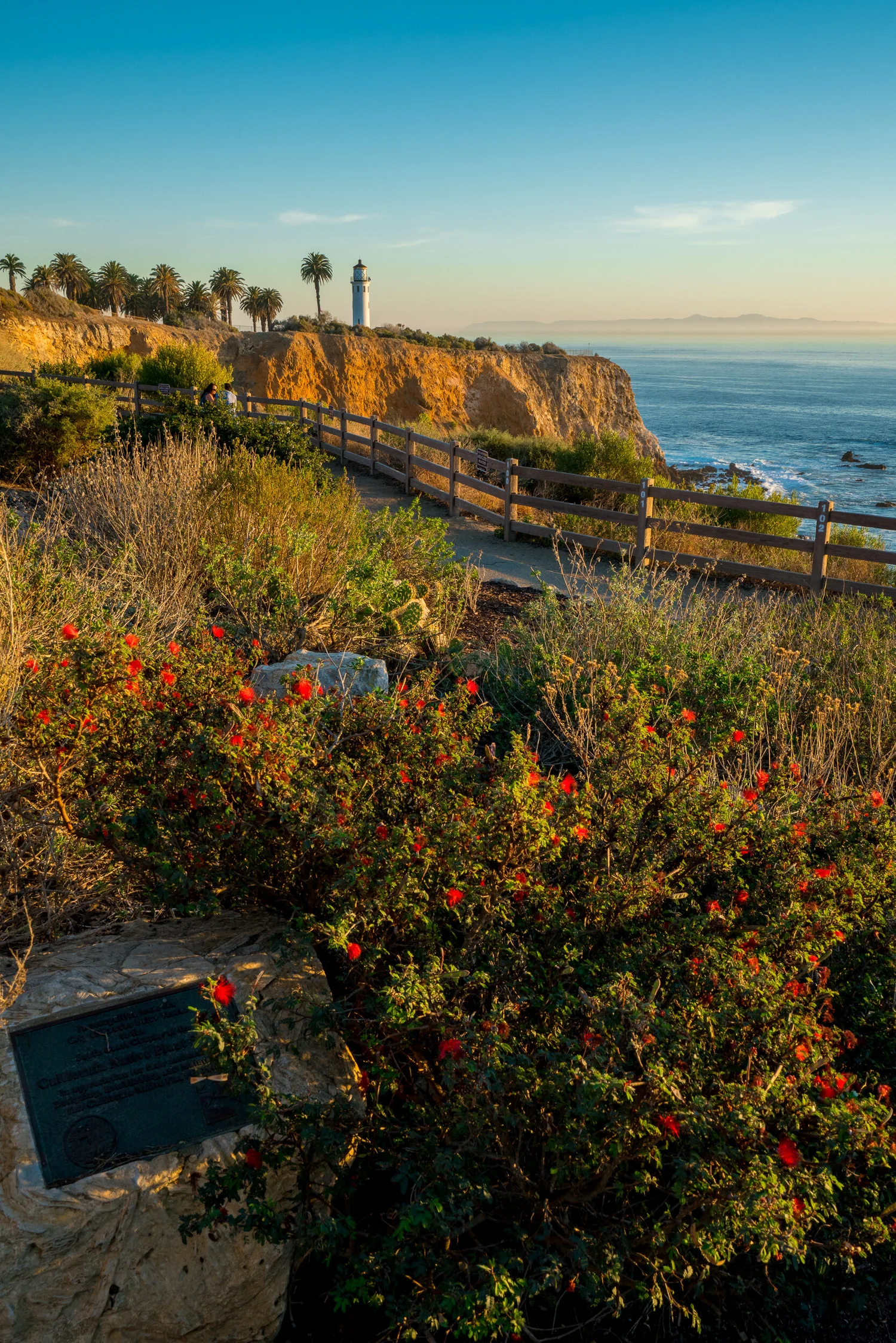 7 Most Scenic Short Walks in Los Angeles County — Explore More Nature