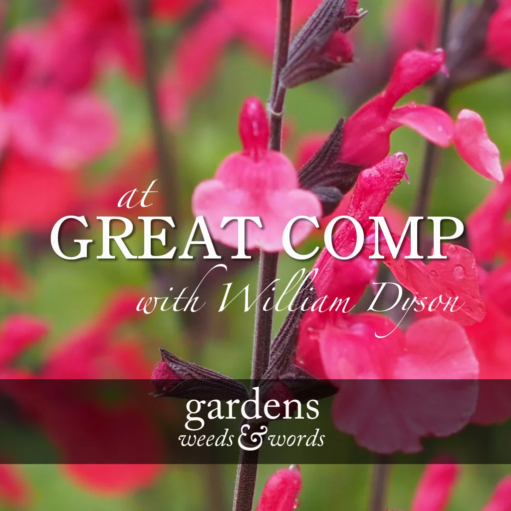At Great Comp with William Dyson — GARDENS, WEEDS & WORDS