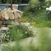 The Naturecraft Garden — GARDENS, WEEDS & WORDS