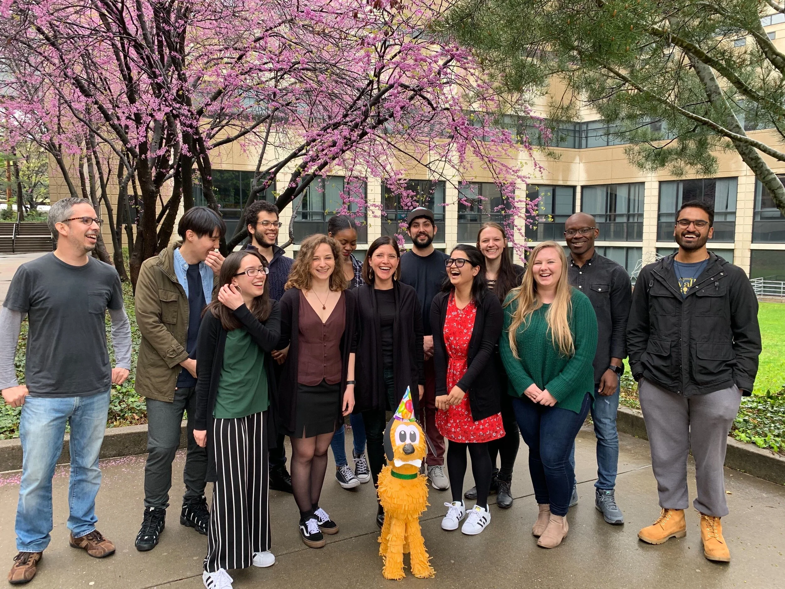 gallery — Mena lab