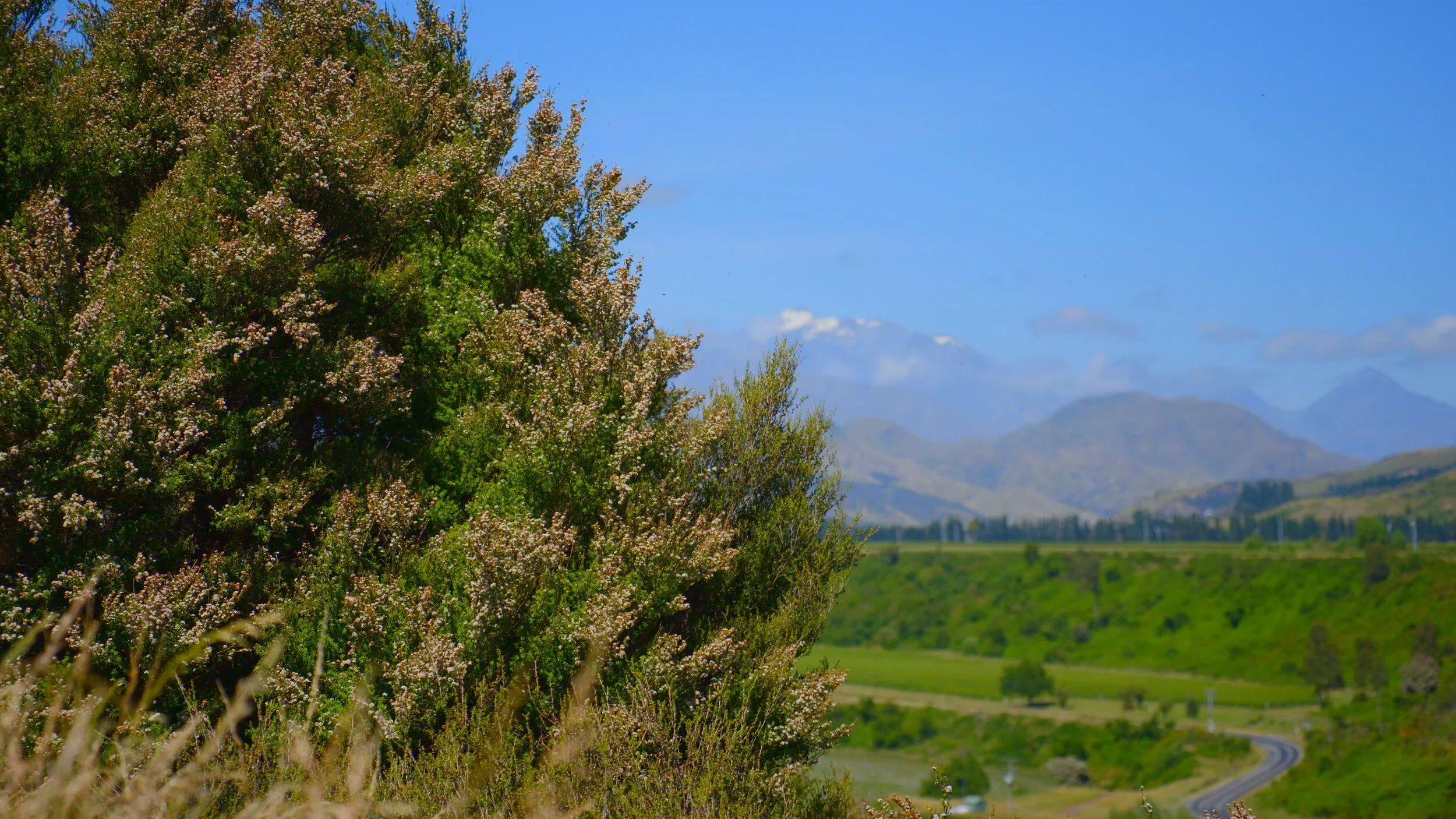 Our thanks to you — Kono