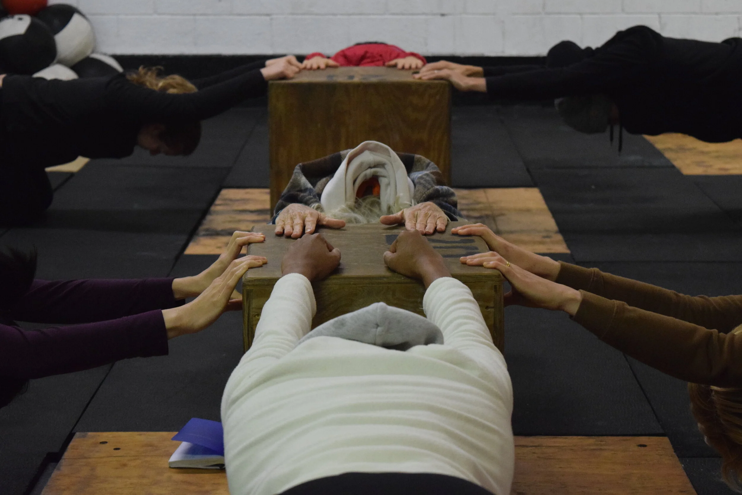 The Ark School of Fitness