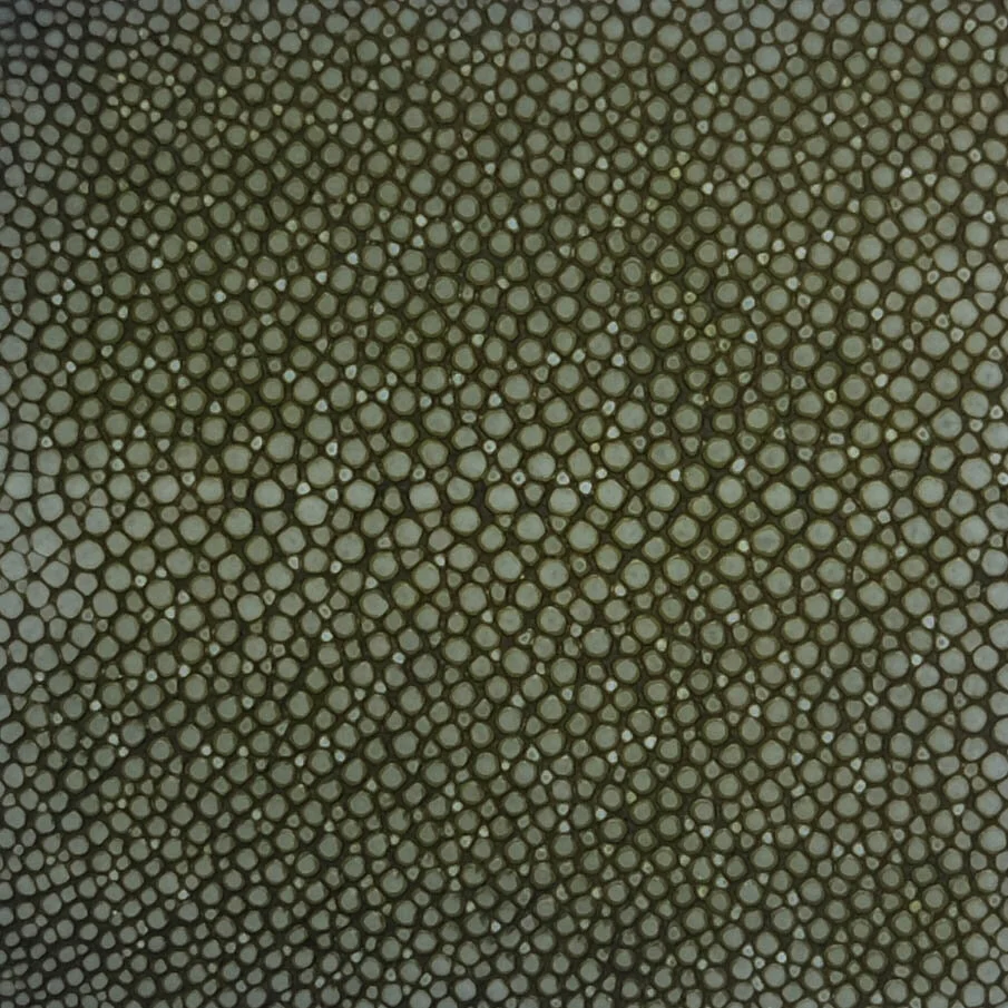 Shagreen — La Galuche - Custom Shagreen Leather Furniture & Accessories