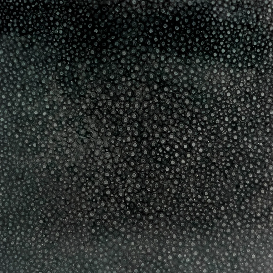 Shagreen — La Galuche - Custom Shagreen Leather Furniture & Accessories