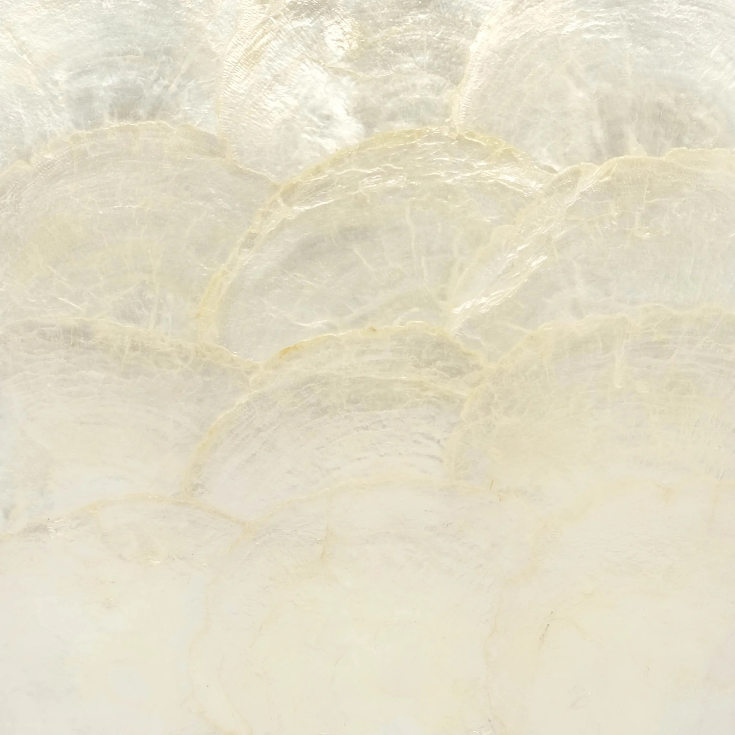 Shell — La Galuche - Custom Shagreen Leather Furniture & Accessories