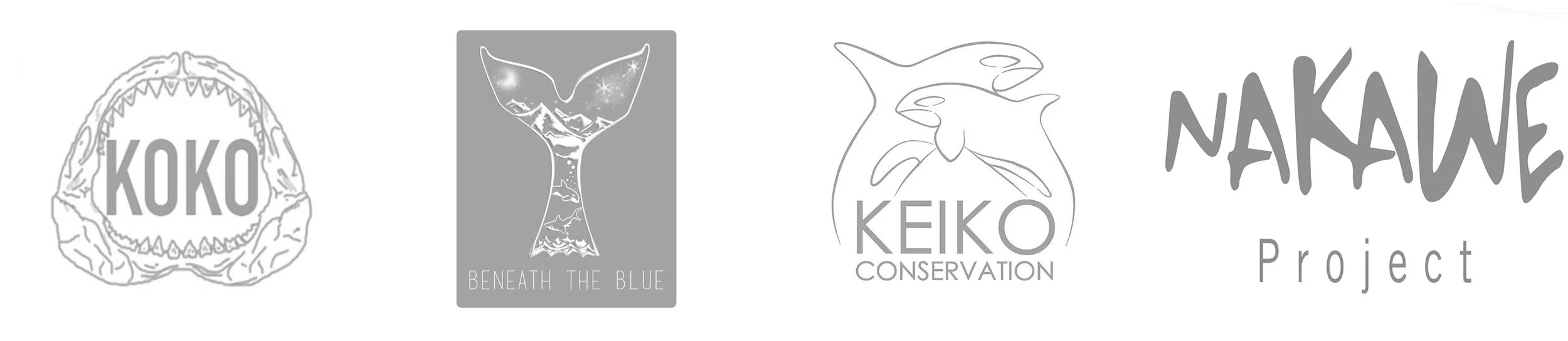 Home — KORI BURKHARDT