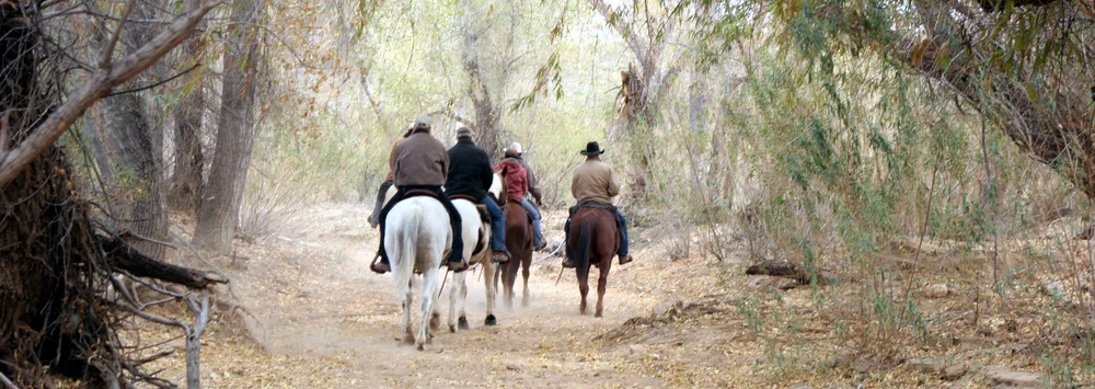 Bumble Bee Ranch Adventures