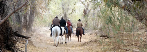 Bumble Bee Ranch Adventures