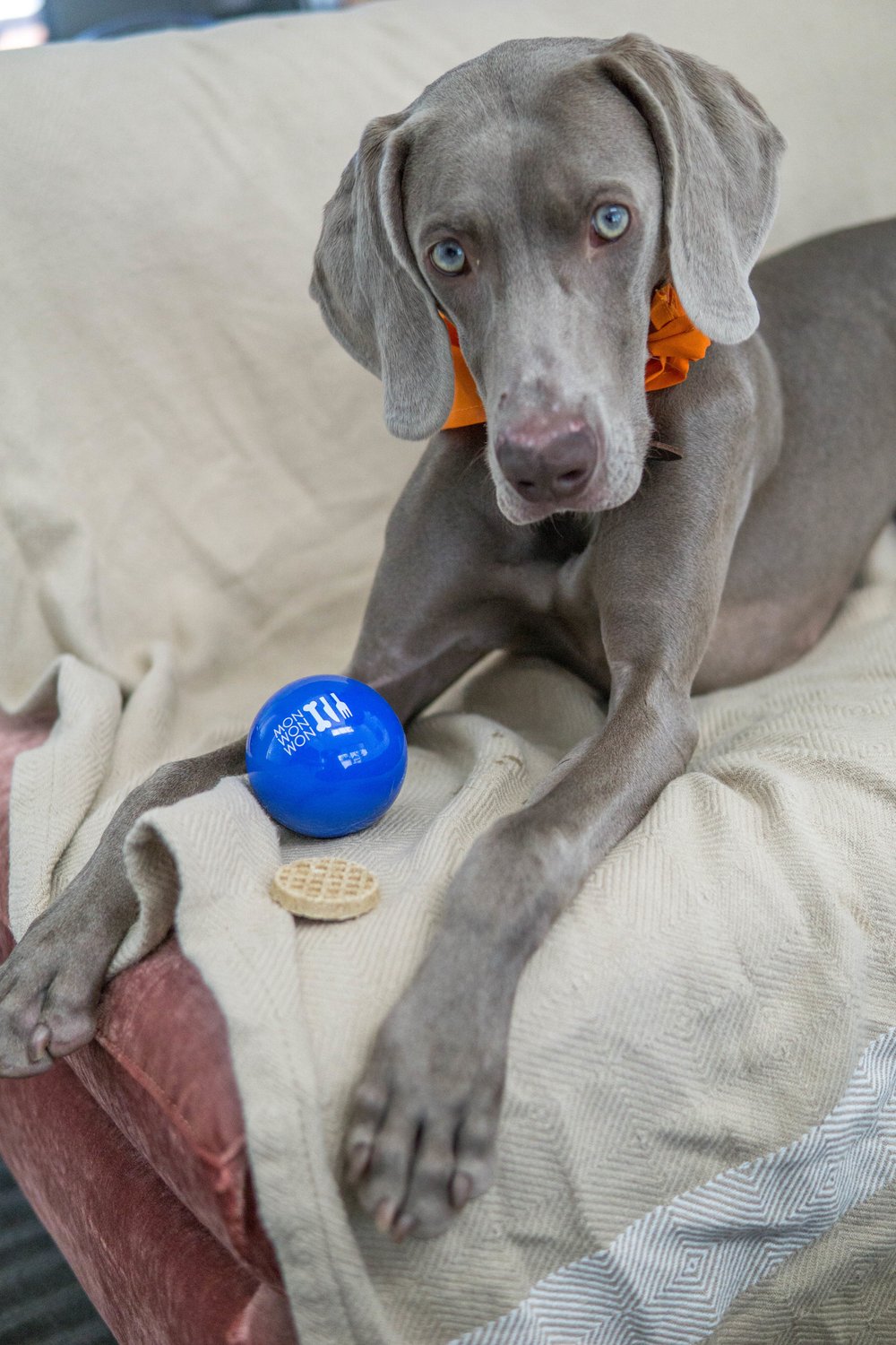 Collectively Candice by Candice Mathis | He Keeps Me Happy & I Keep Him ...