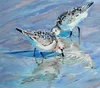 Donna Asquith - Artist