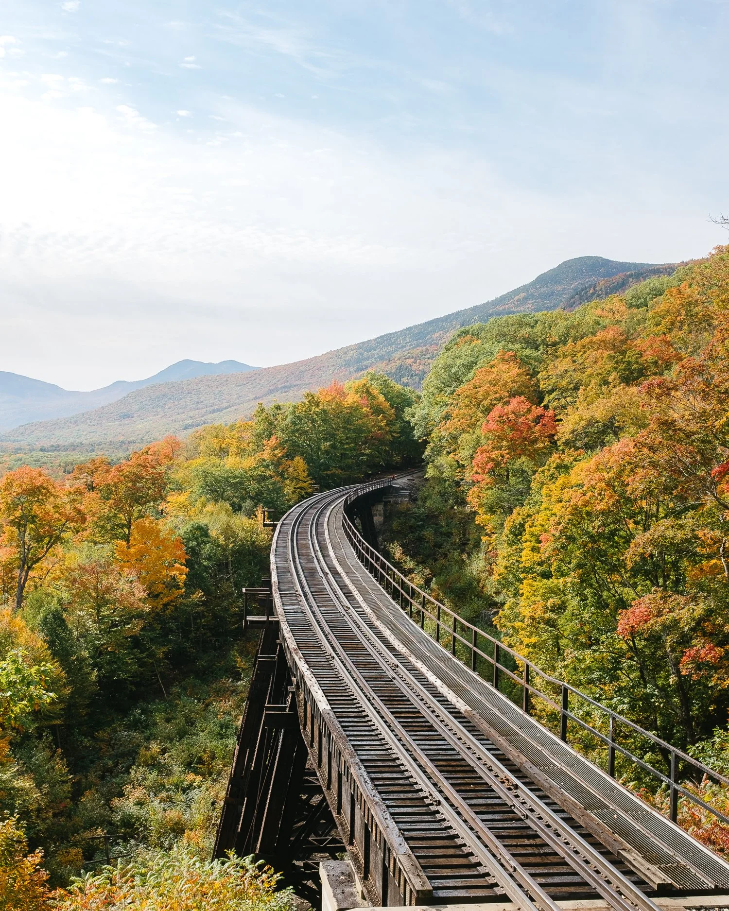 Matthew Richards Photography