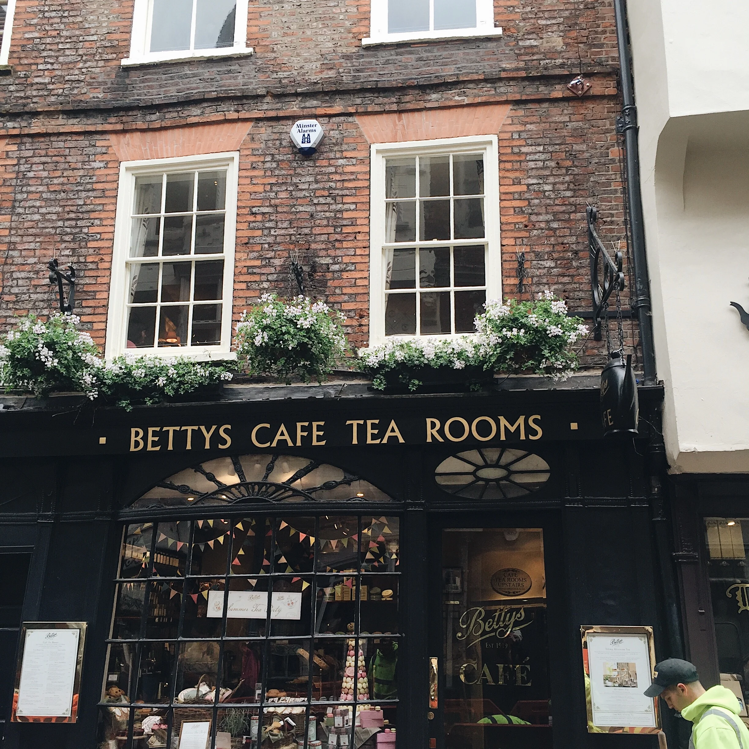 The Best Of York, England — Hello Ivy & Eve