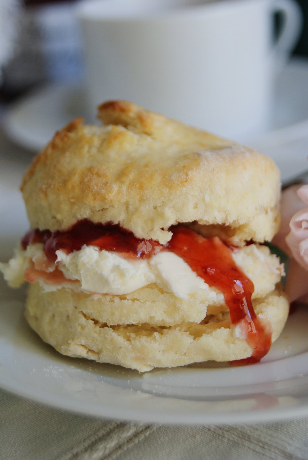 The Perfect Cream Tea (Clotted Cream & Scone Recipe) — Hello Ivy & Eve
