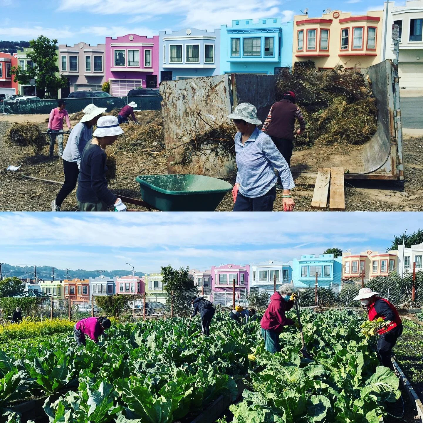 Florence Fang Community Farm | SF