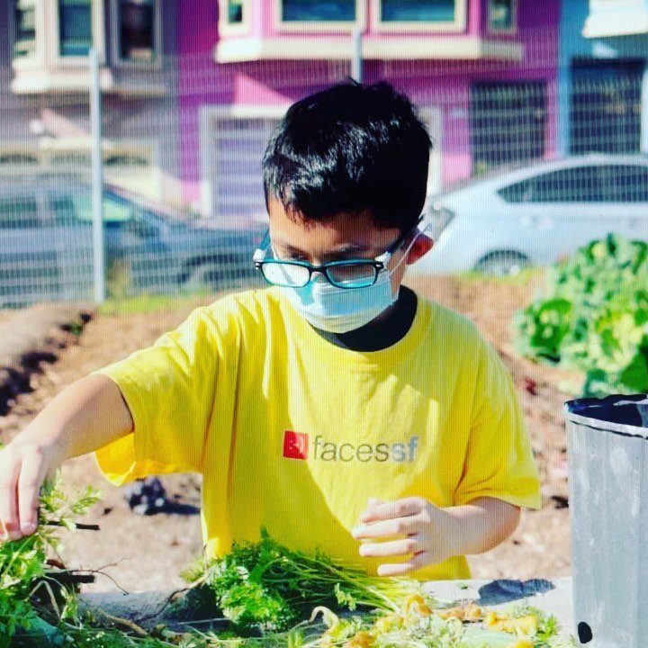 Florence Fang Community Farm | SF