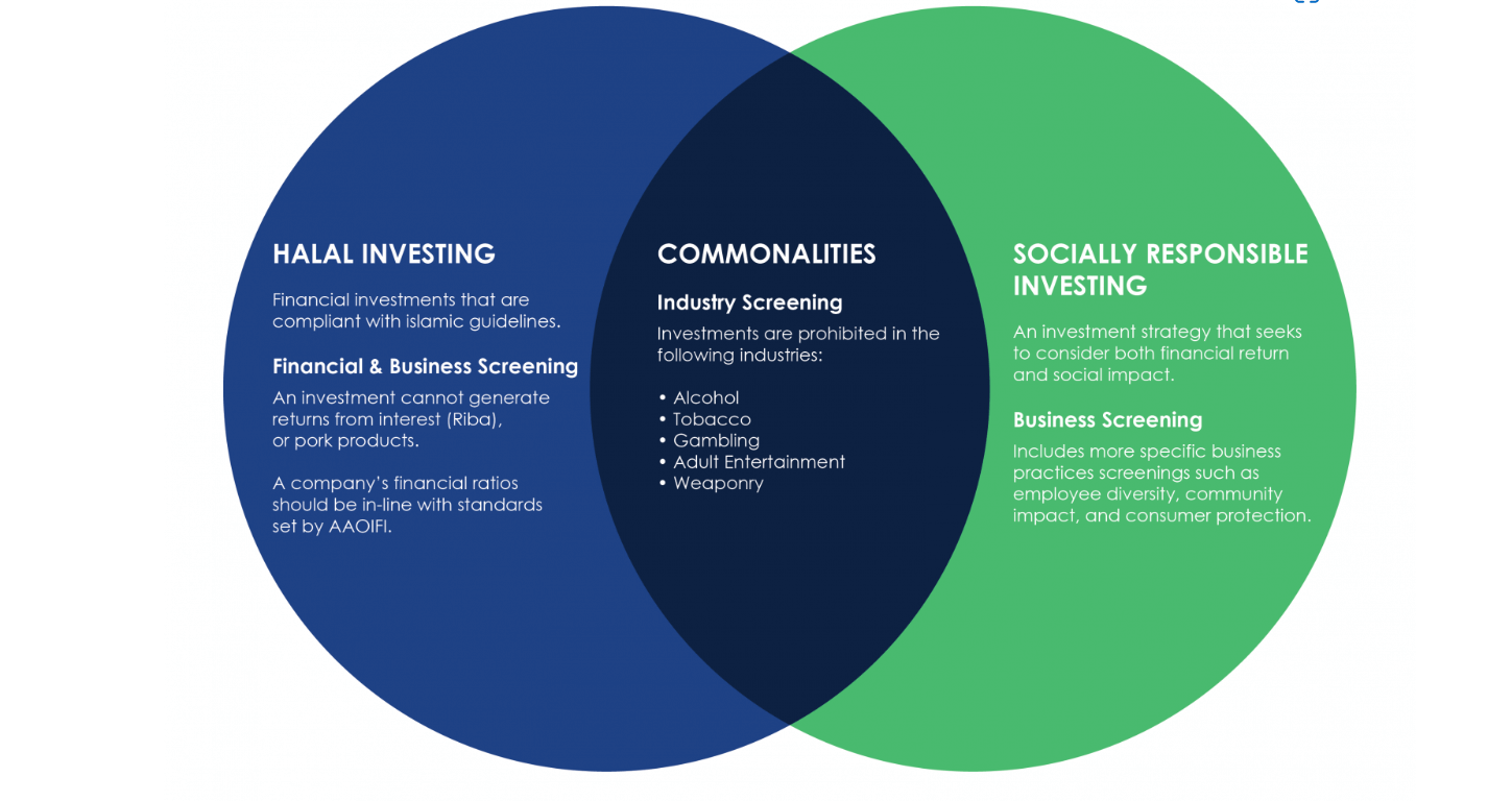 Wahed Invest (2022 review)
