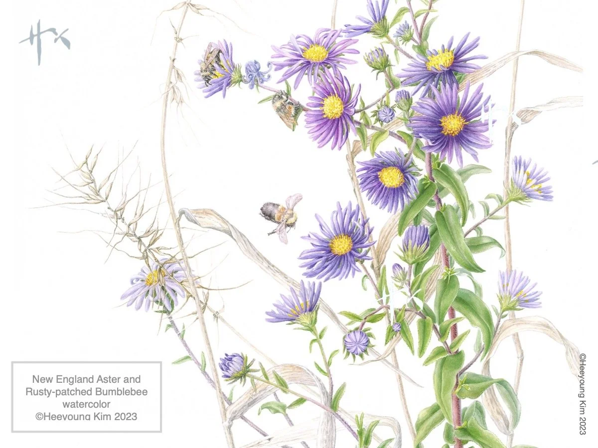Botanical Art by Heeyoung Kim-Class Listing