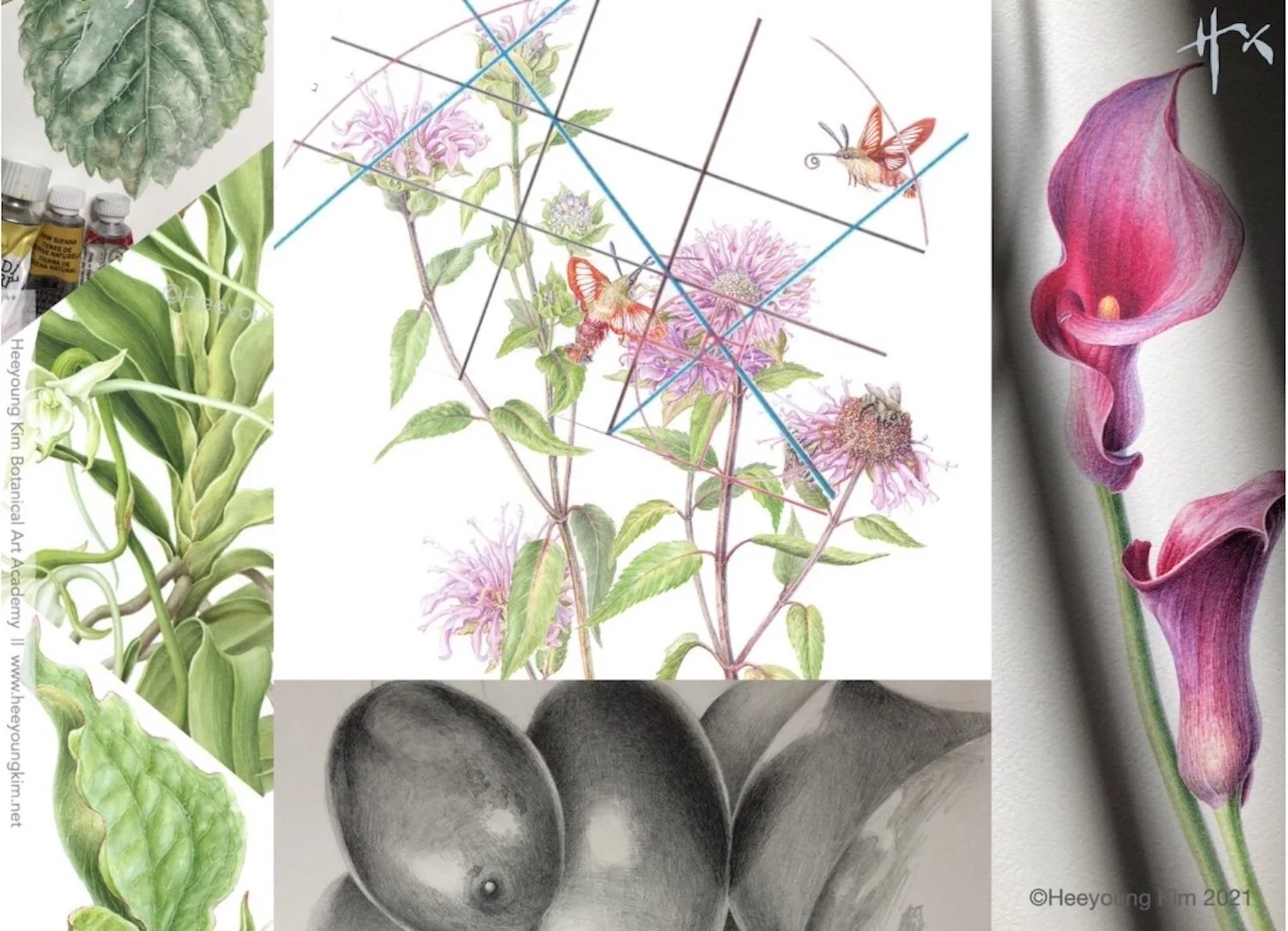 Botanical Art by Heeyoung Kim-Class Listing