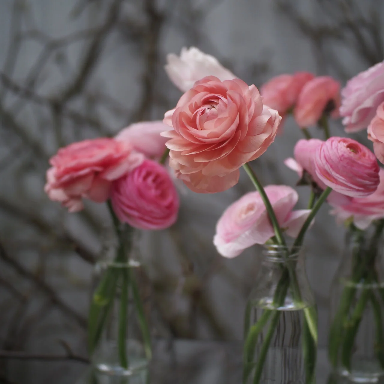 SuperNature FlowersCreative Flower Studio