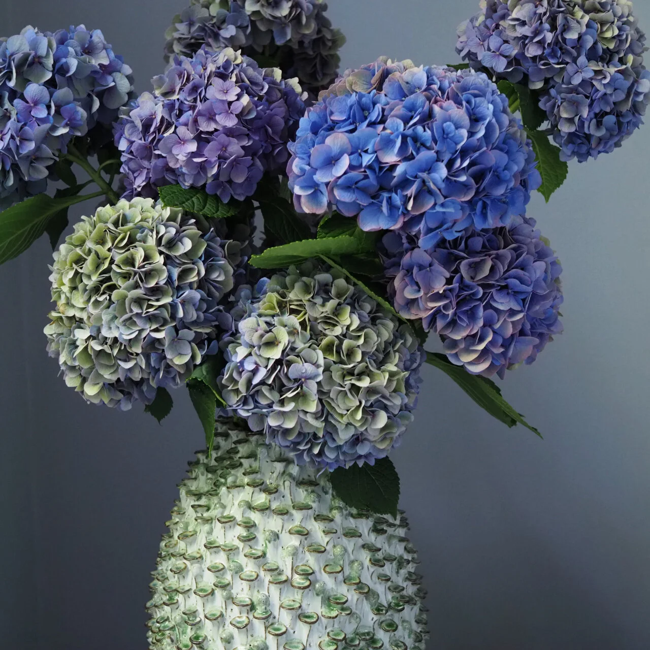 SuperNature FlowersCreative Flower Studio