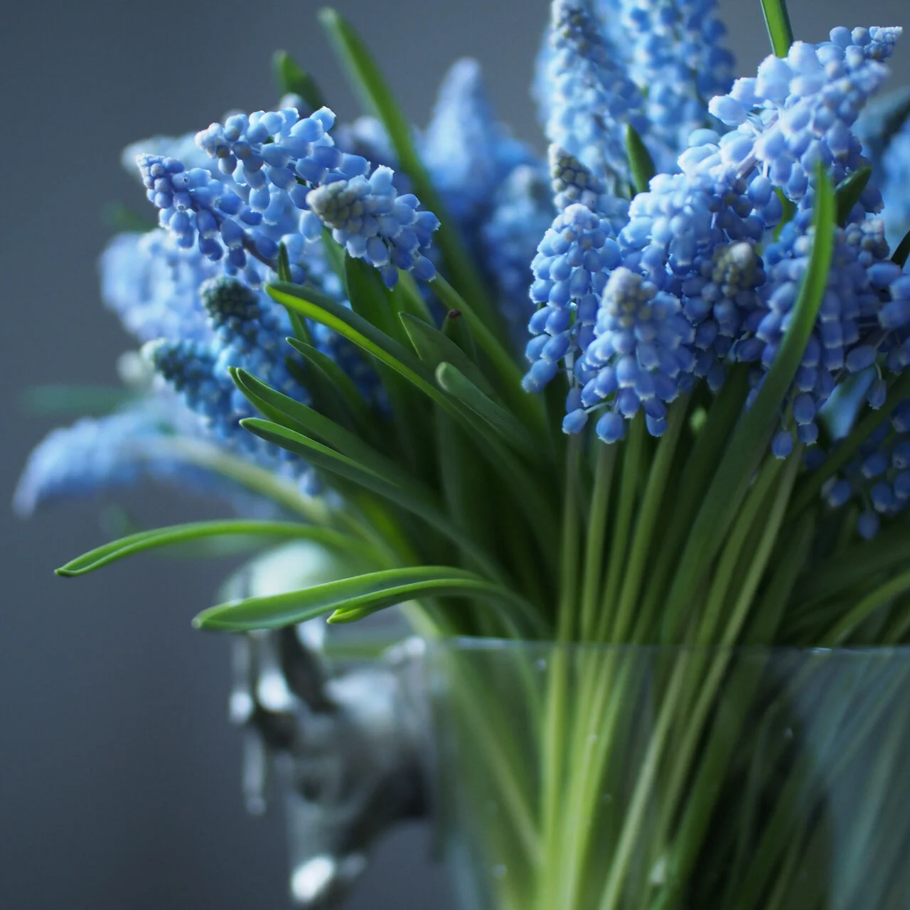 SuperNature FlowersCreative Flower Studio