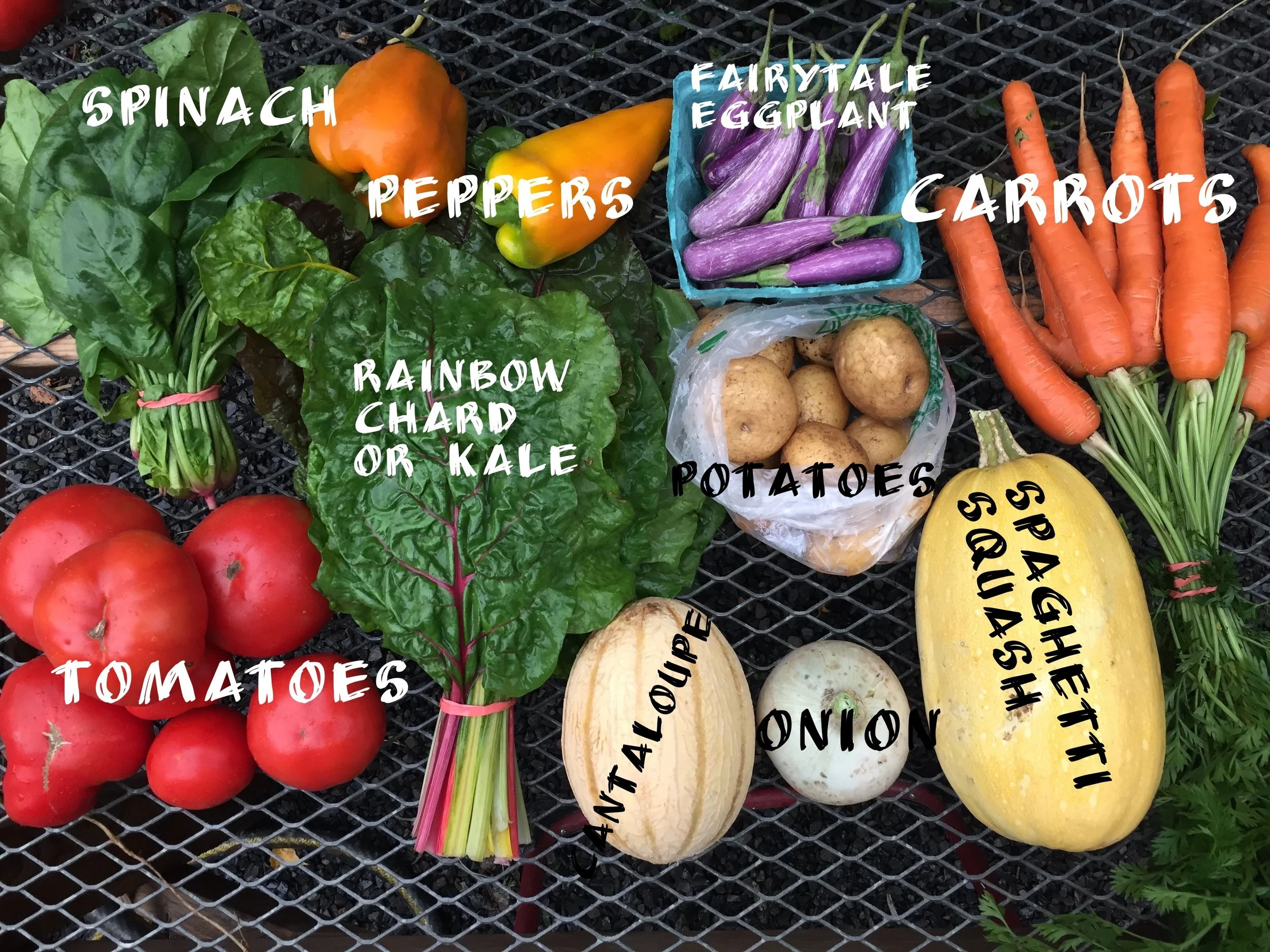 Our Love Affair with CSA - Happy Valentine's Day! — Hartwood Farm