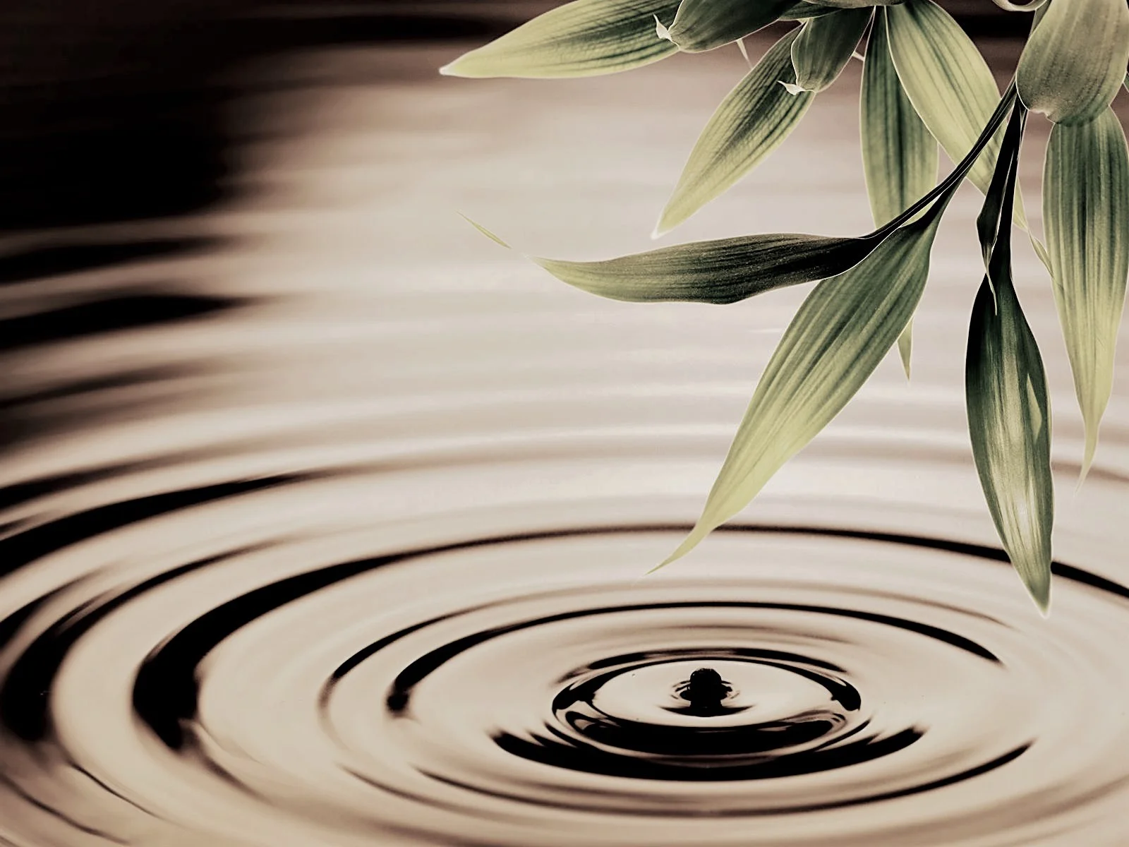 Stories — Katherine Ketcham