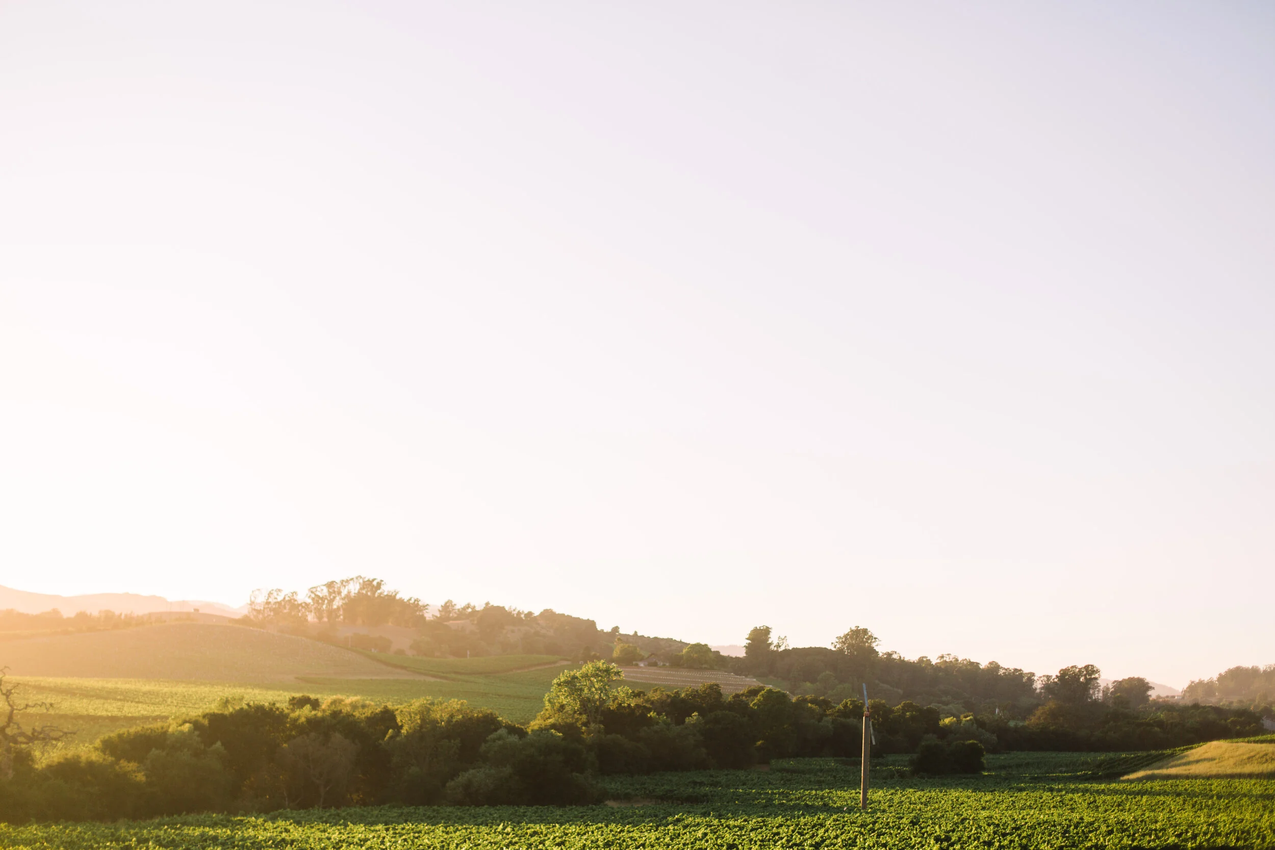 Wine Country Concierge