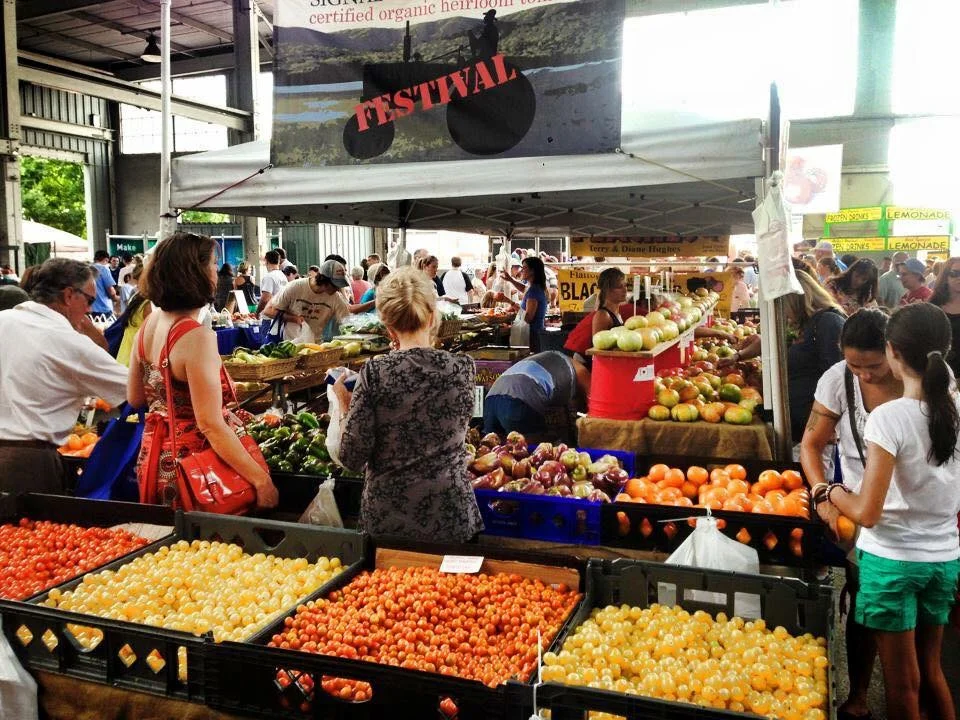 About — Signal Mountain Farm