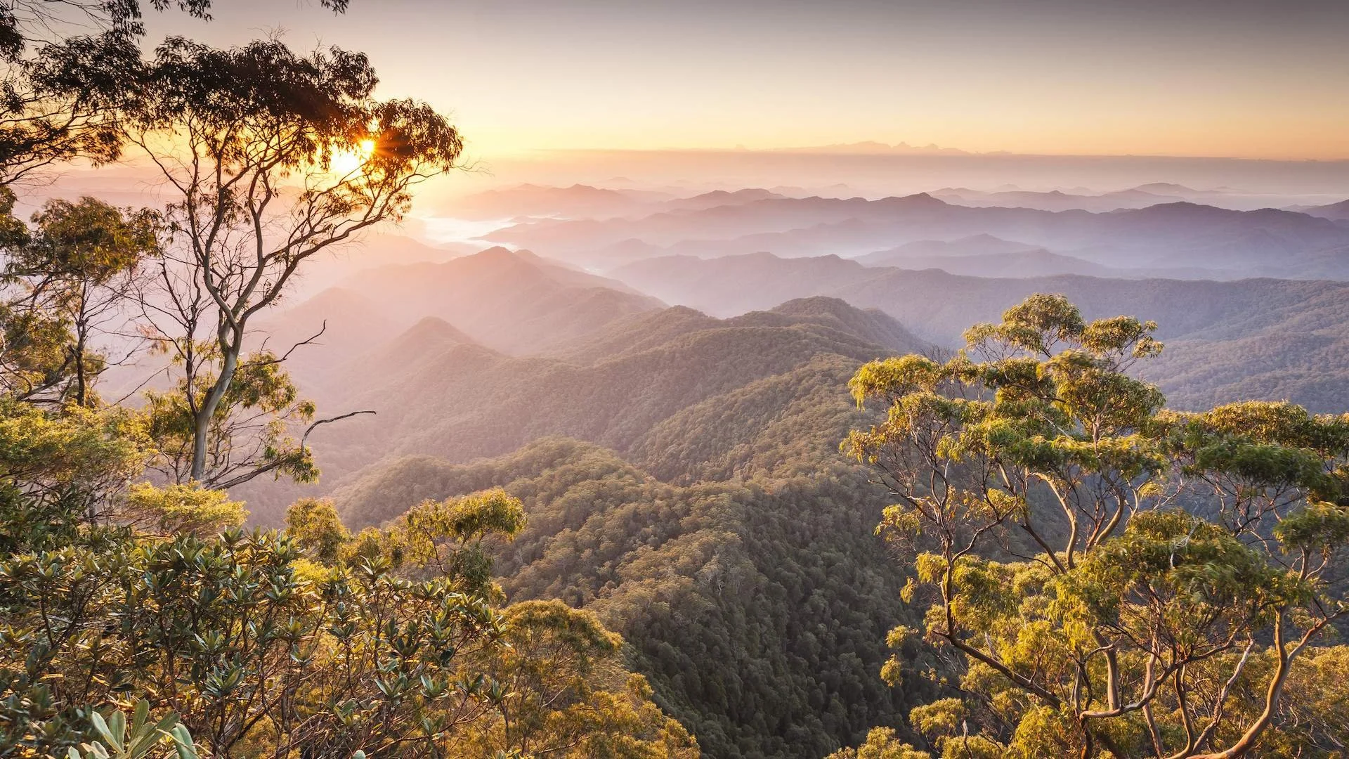 The Rylstone Classic