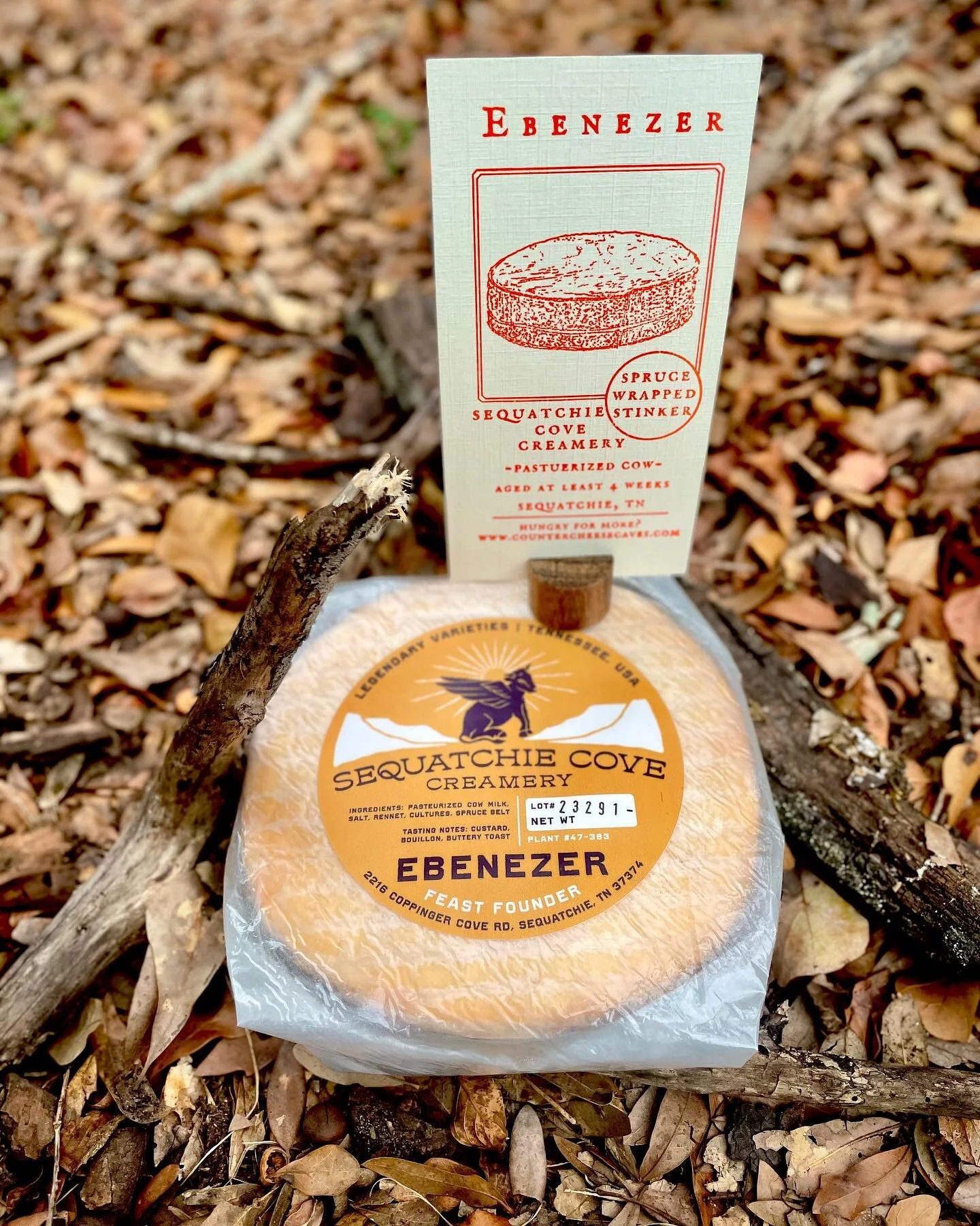 Counter Cheesemongers