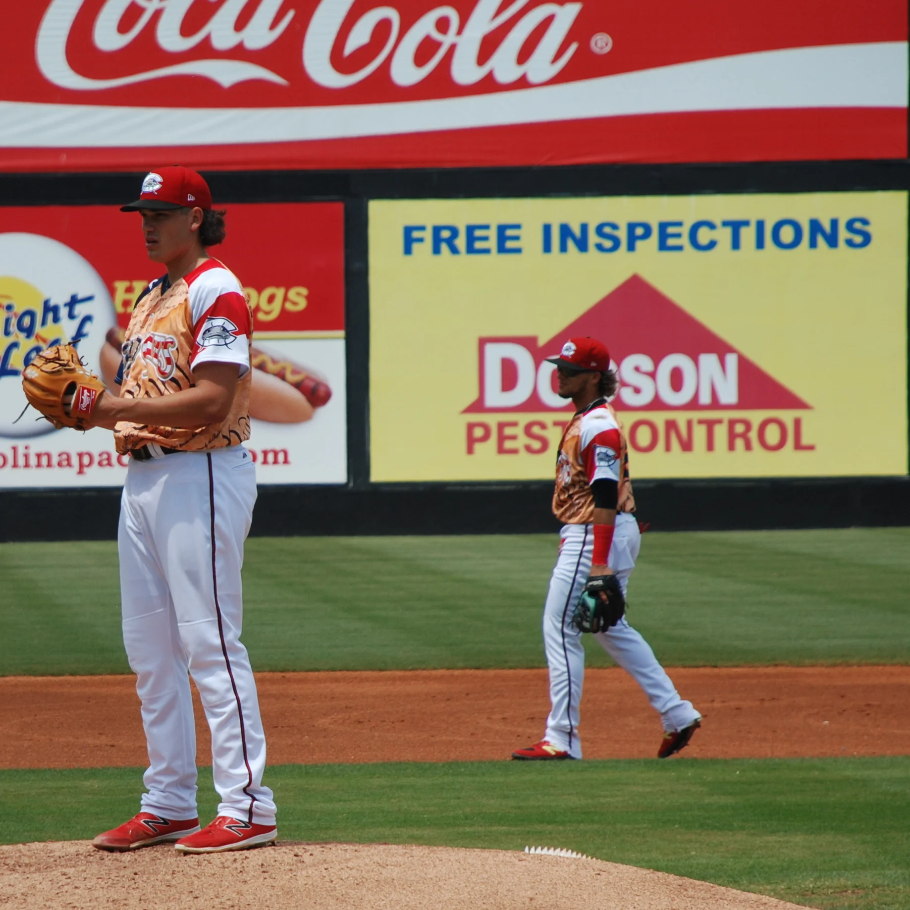 Carolina Mudcats: Patriotic Jersey — OT Sports
