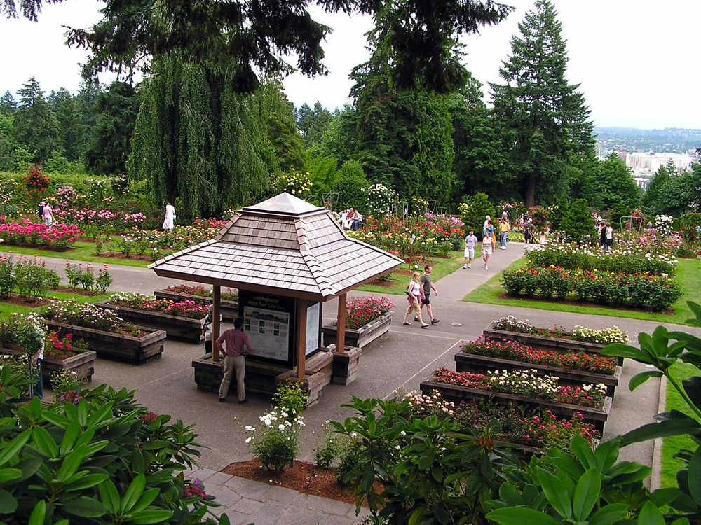 Washington Park Rose Garden Portland Garden Trail: A Short Hike To
