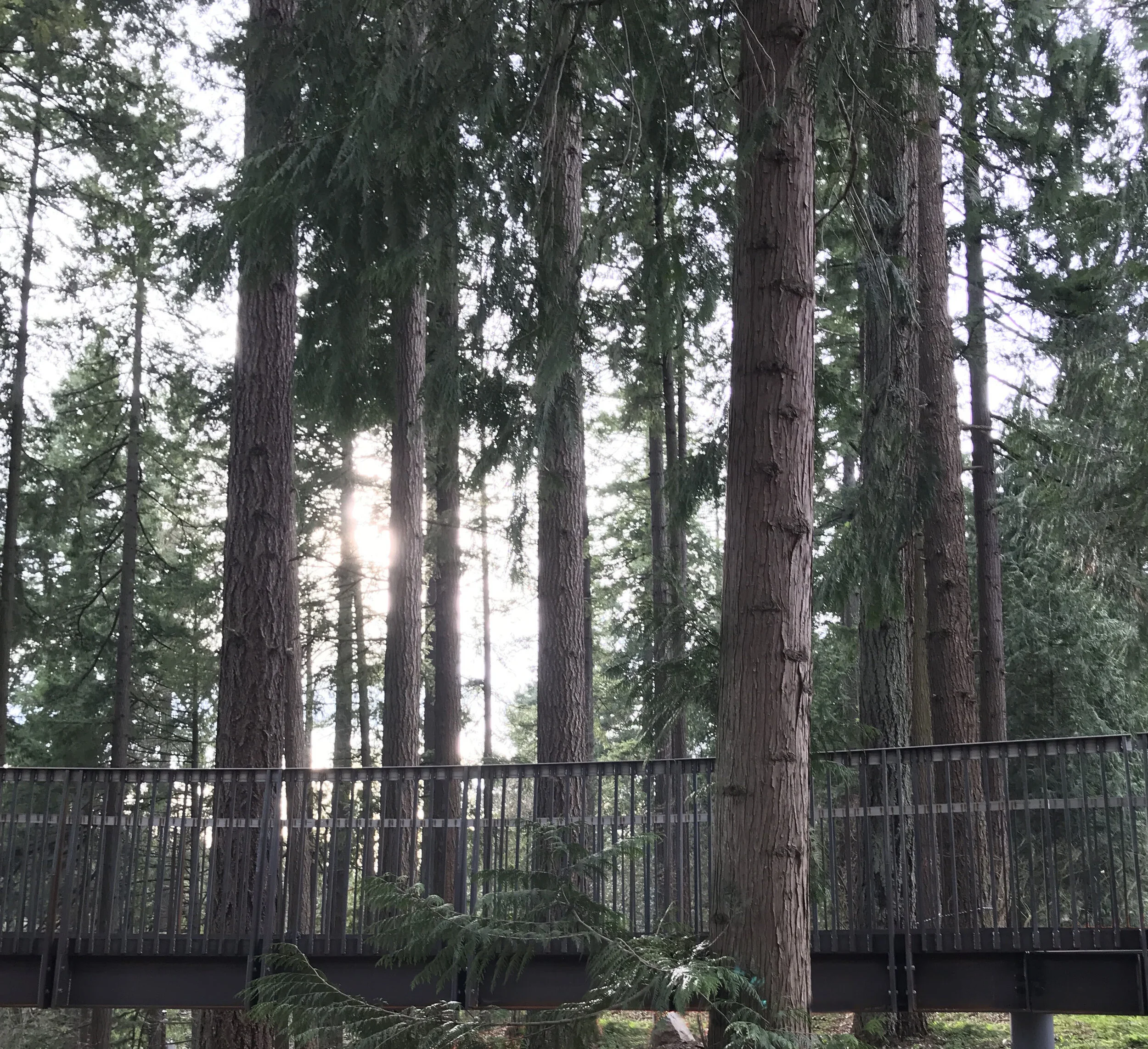 Leach Botanical Garden — Portland Parks Foundation