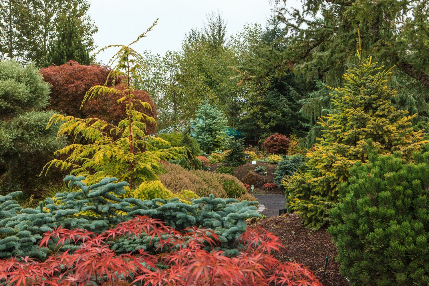 The Oregon Garden — Portland Parks Foundation
