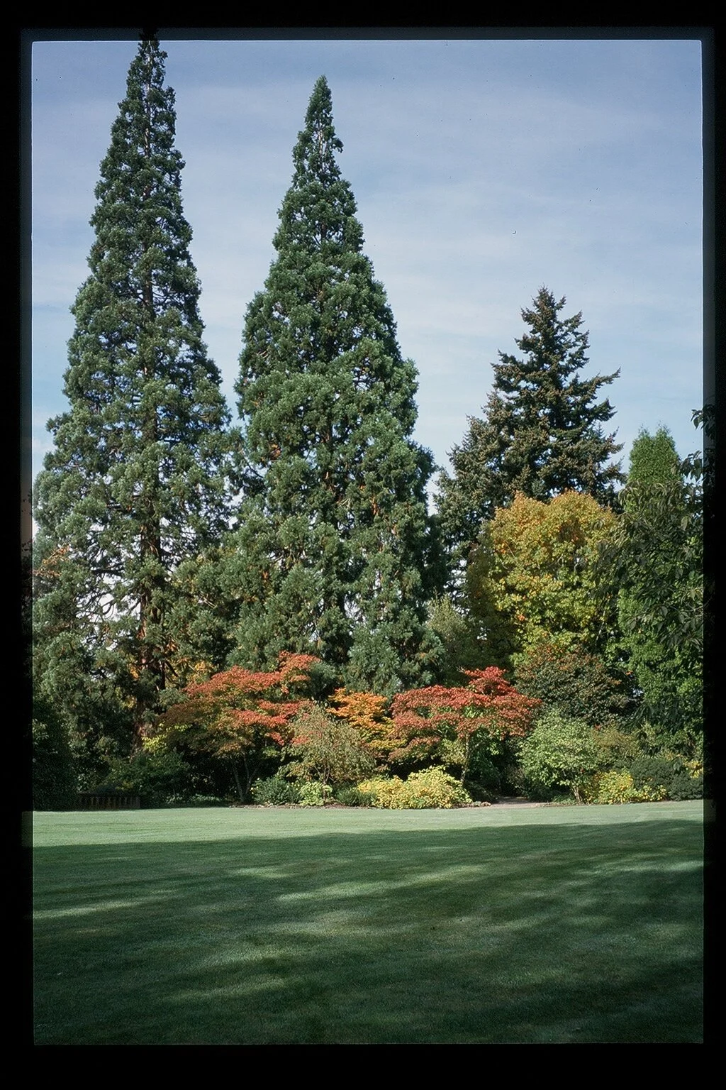 Elk Rock Garden — Portland Parks Foundation