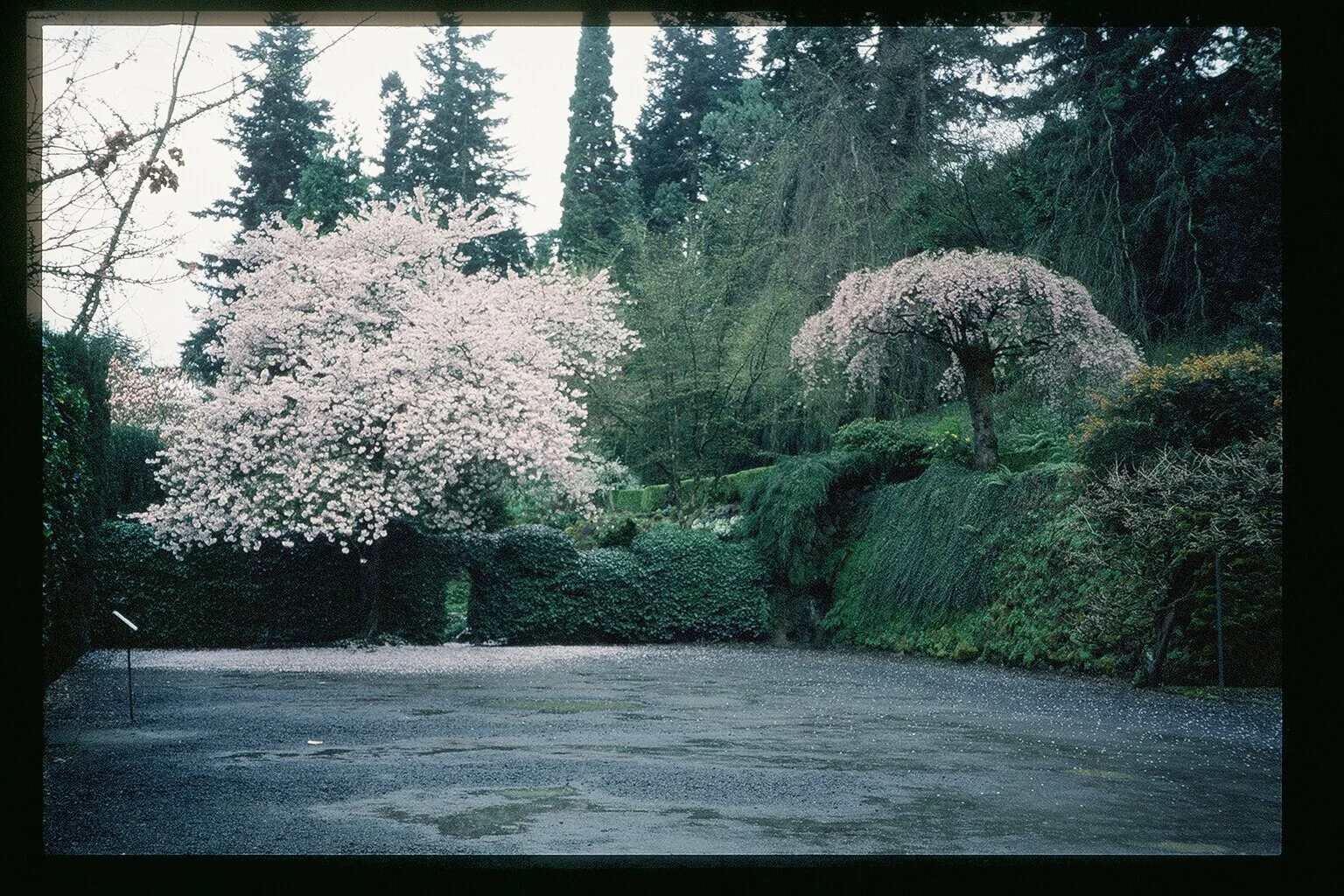 Elk Rock Garden — Portland Parks Foundation