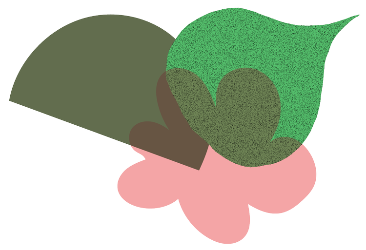 Friends & Allies Summits — Portland Parks Foundation