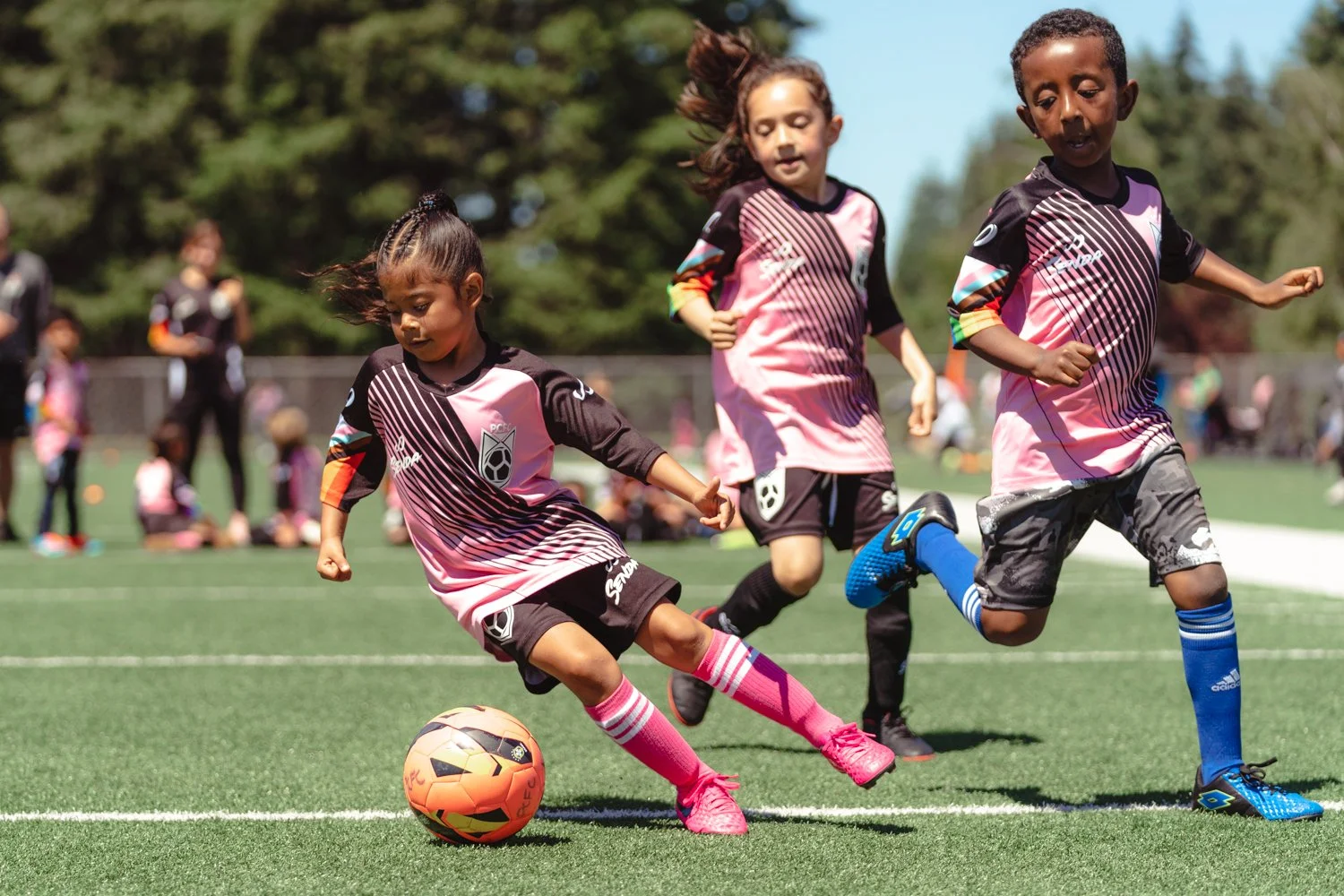 Blog — Portland Parks Foundation