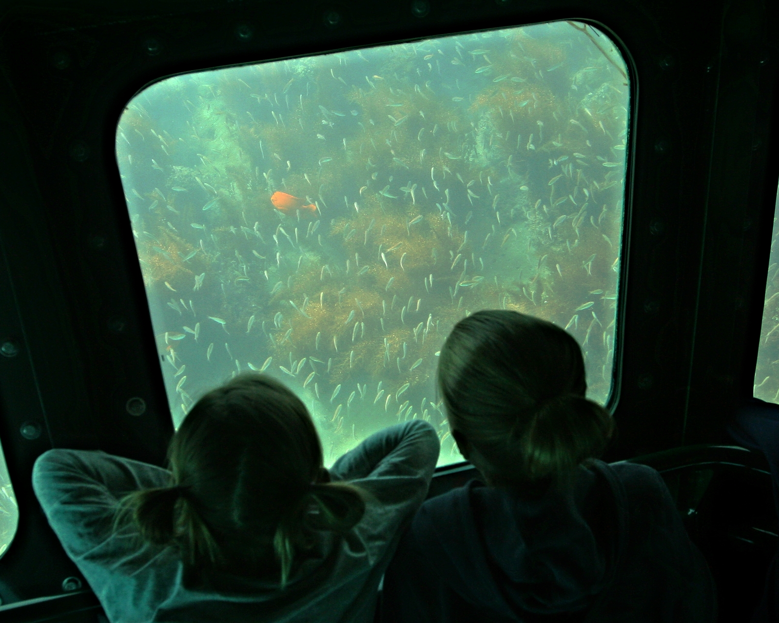 Sea life Discovery Tours