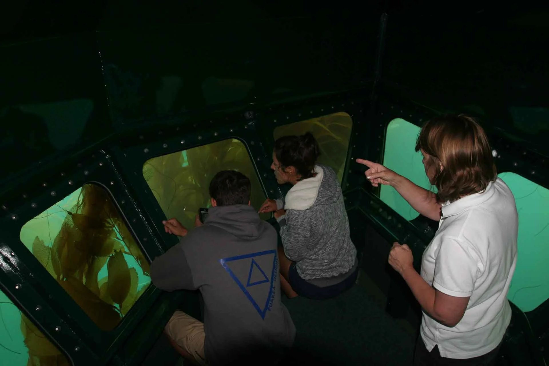 Overview — Sea life Discovery Tours