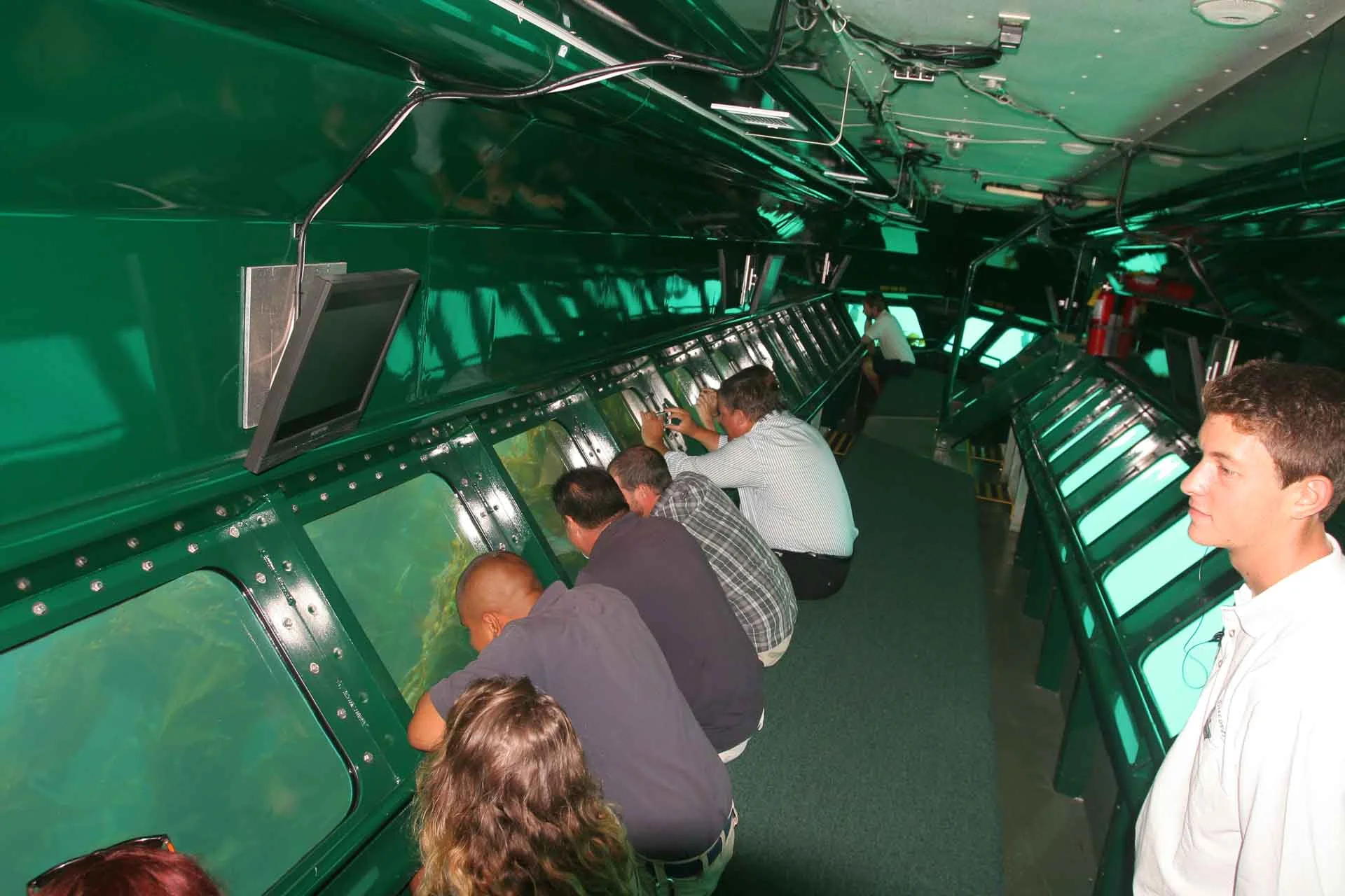 Overview — Sea life Discovery Tours