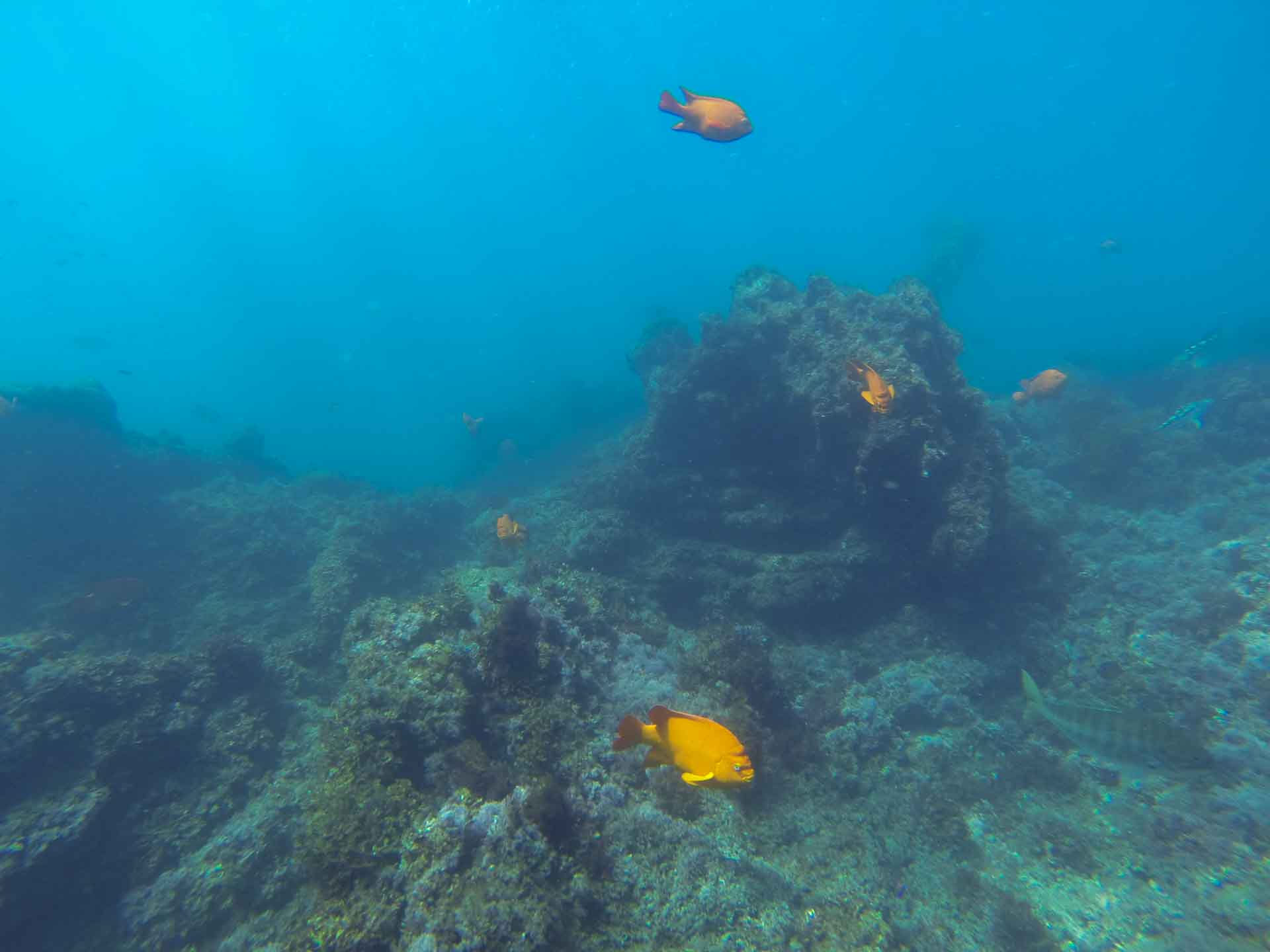 Overview — Sea life Discovery Tours