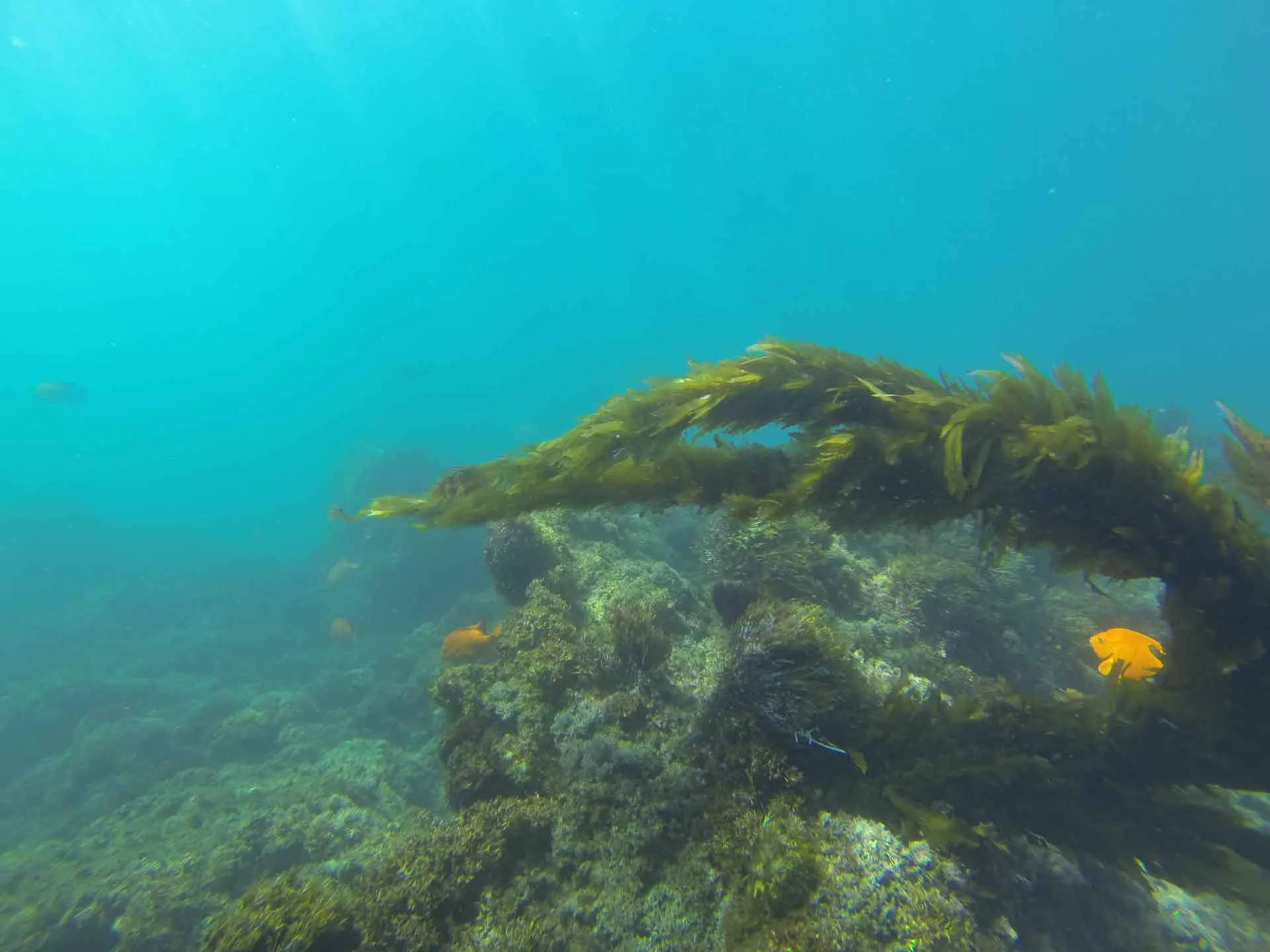 Overview — Sea life Discovery Tours